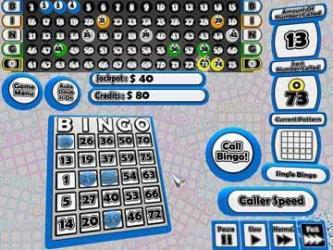 3D Xtreme Bingo Over 50 different Bingo game patterns to Play in 3D!