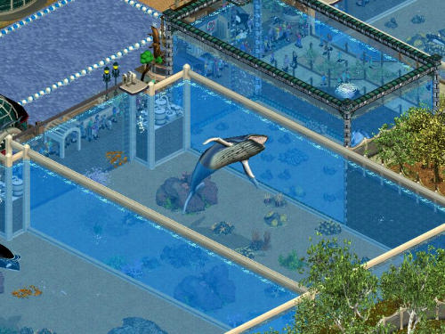 Zoo Tycoon Design and manage the zoo of your dreams