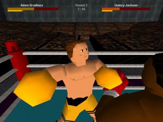 Championship Boxing PC game Play boxing matches from training up to the ...